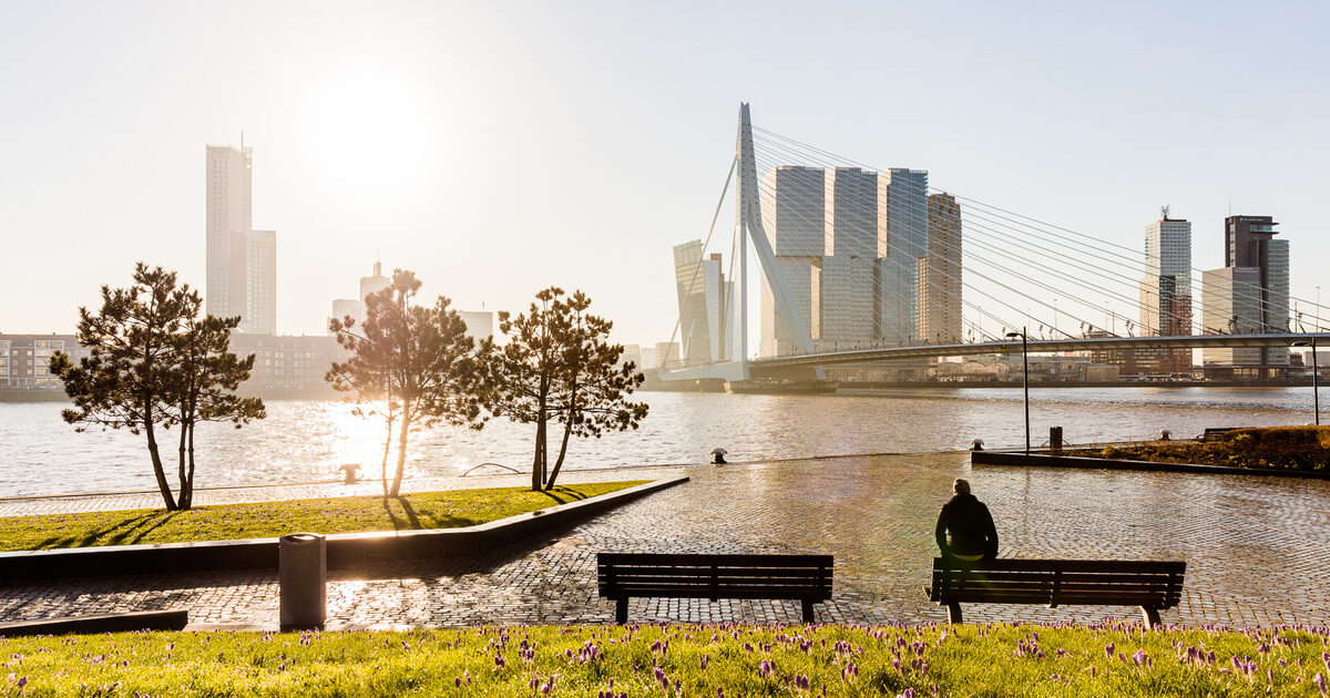 Street Art & Parken | RotterdamCentrum