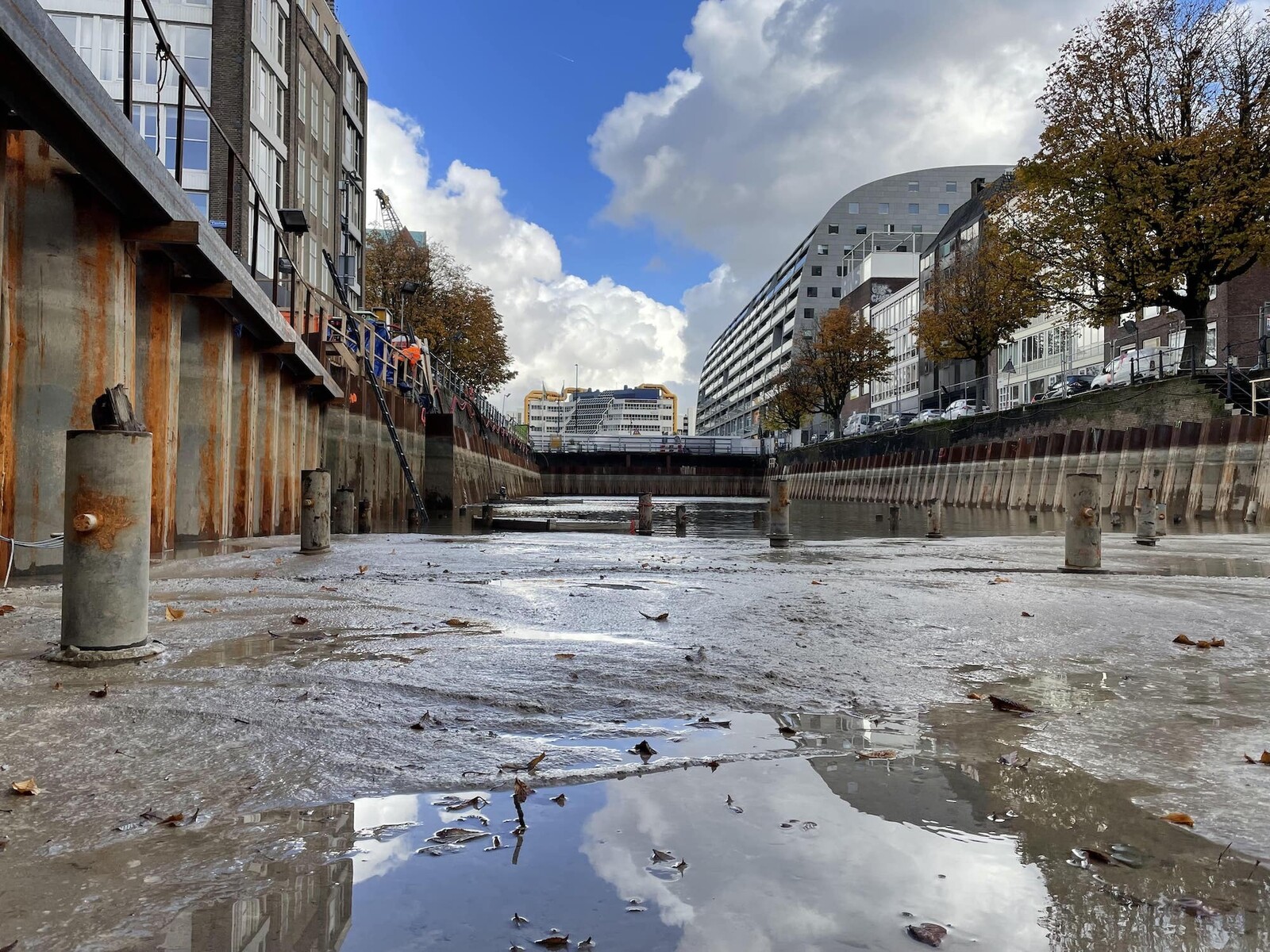 Surfen bij RiF010 in Rotterdam | #RotterdamCentrum