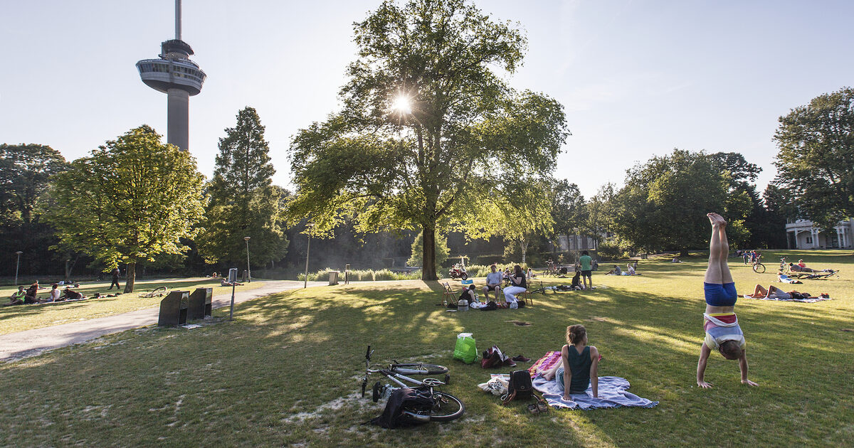 Ontdek Het Park in Rotterdam | RotterdamCentrum