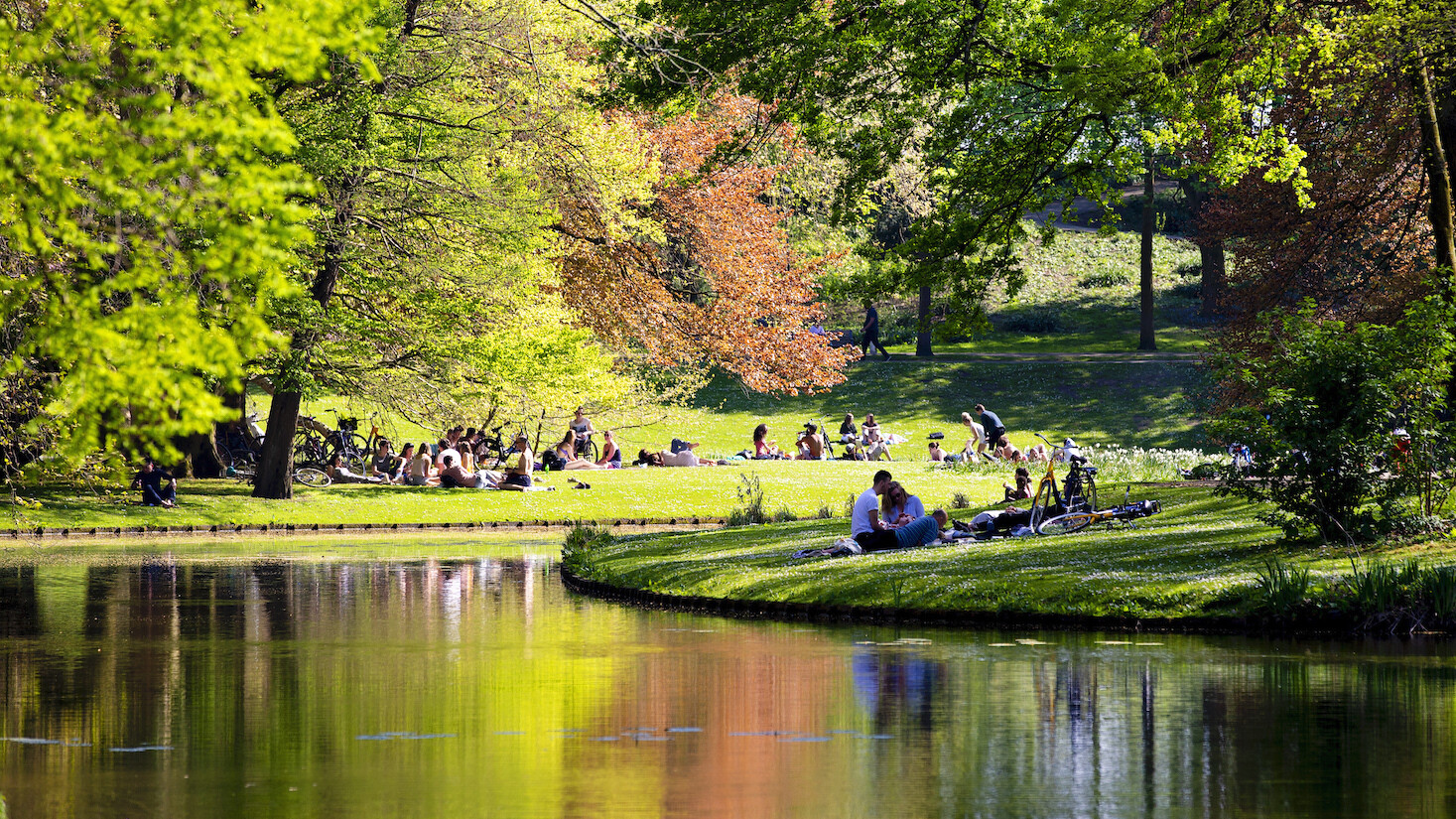 Groene parken in Rotterdam | #RotterdamCentrum